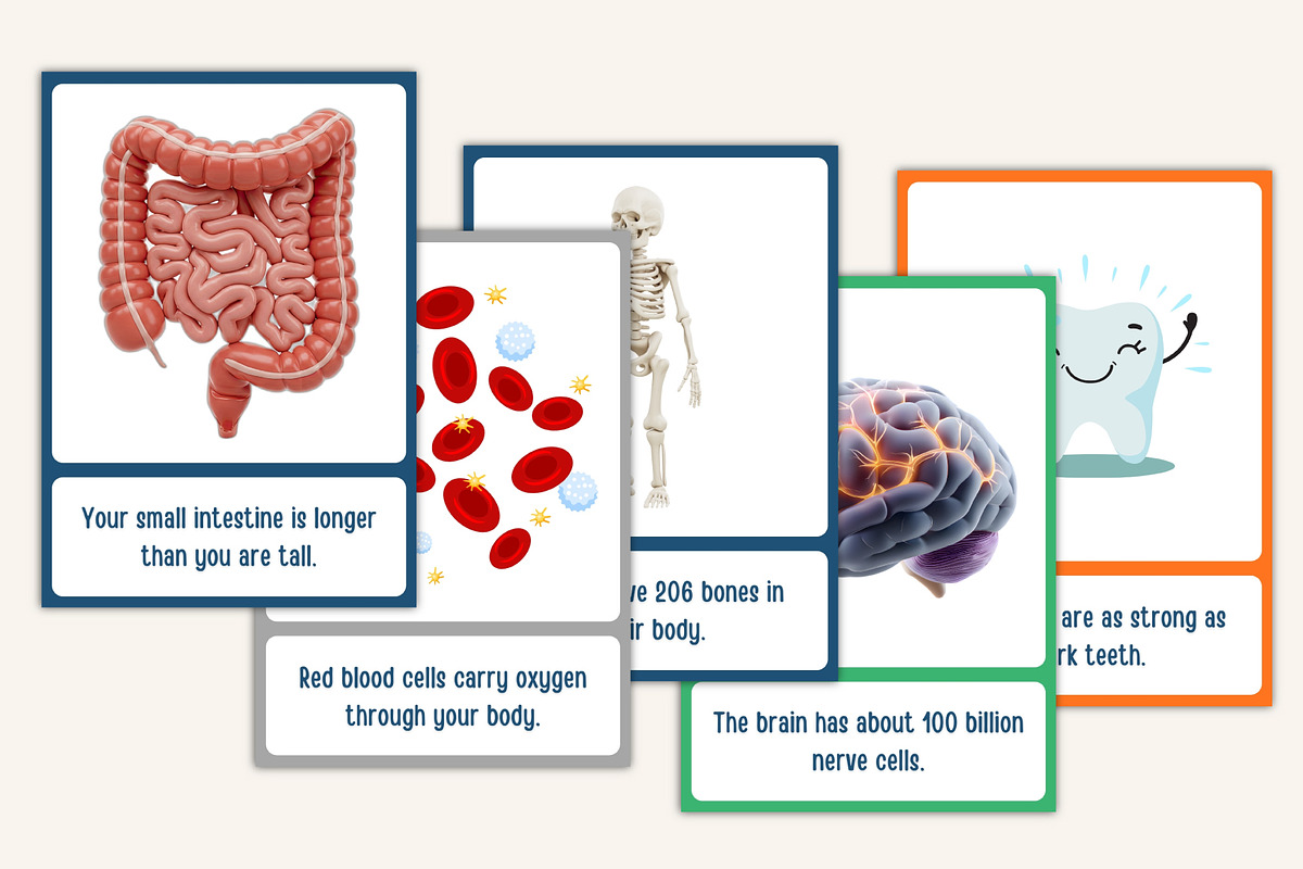 Science Facts for Kids 100 Flash, a Stationery Template by Designmela01