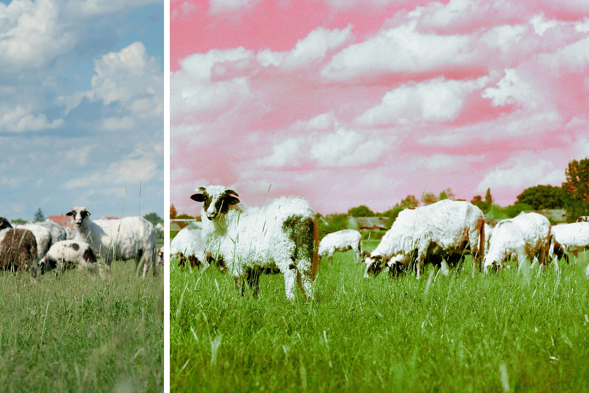 Infrared Photo Effect, a Layer Style Add-On by Design Squad
