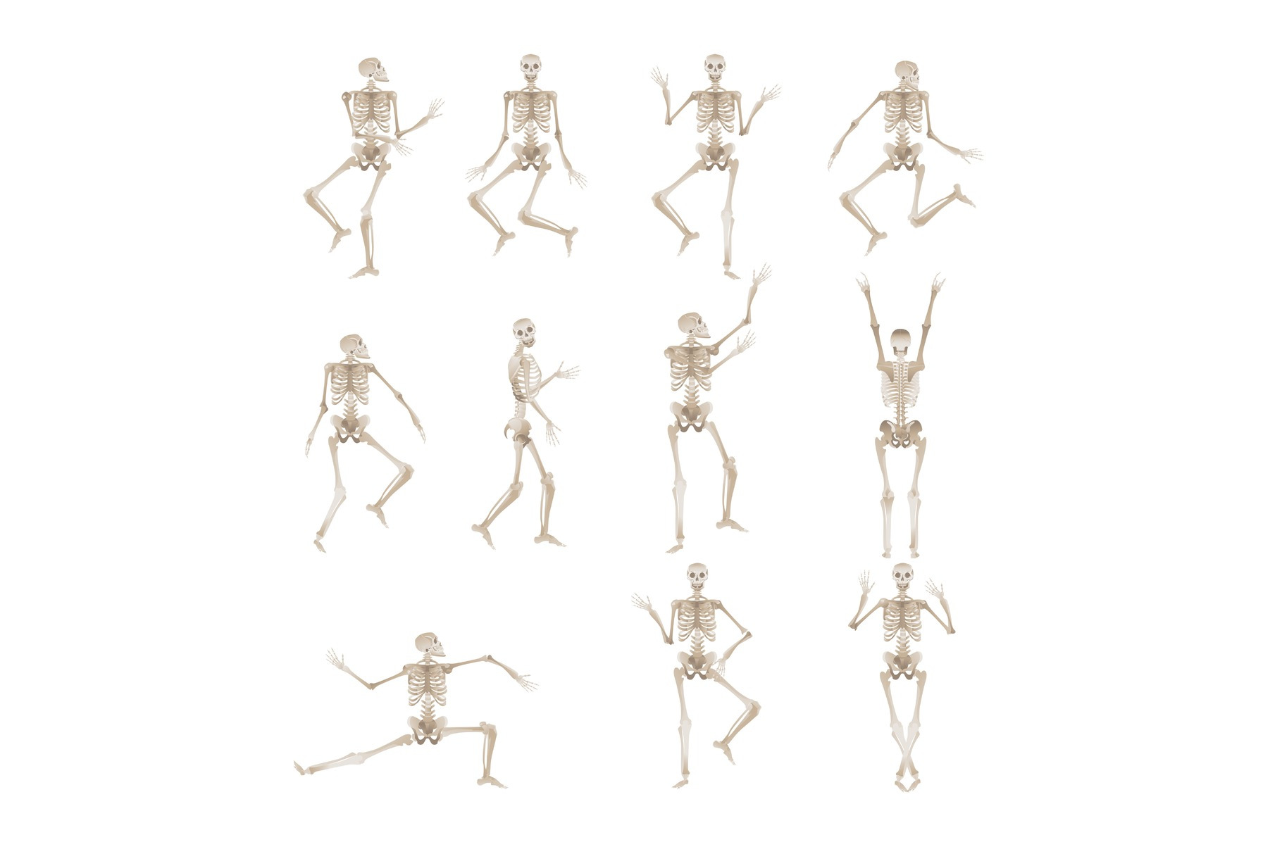 Cheerful skeleton in different poses, an Object Graphic by Sabelskaya