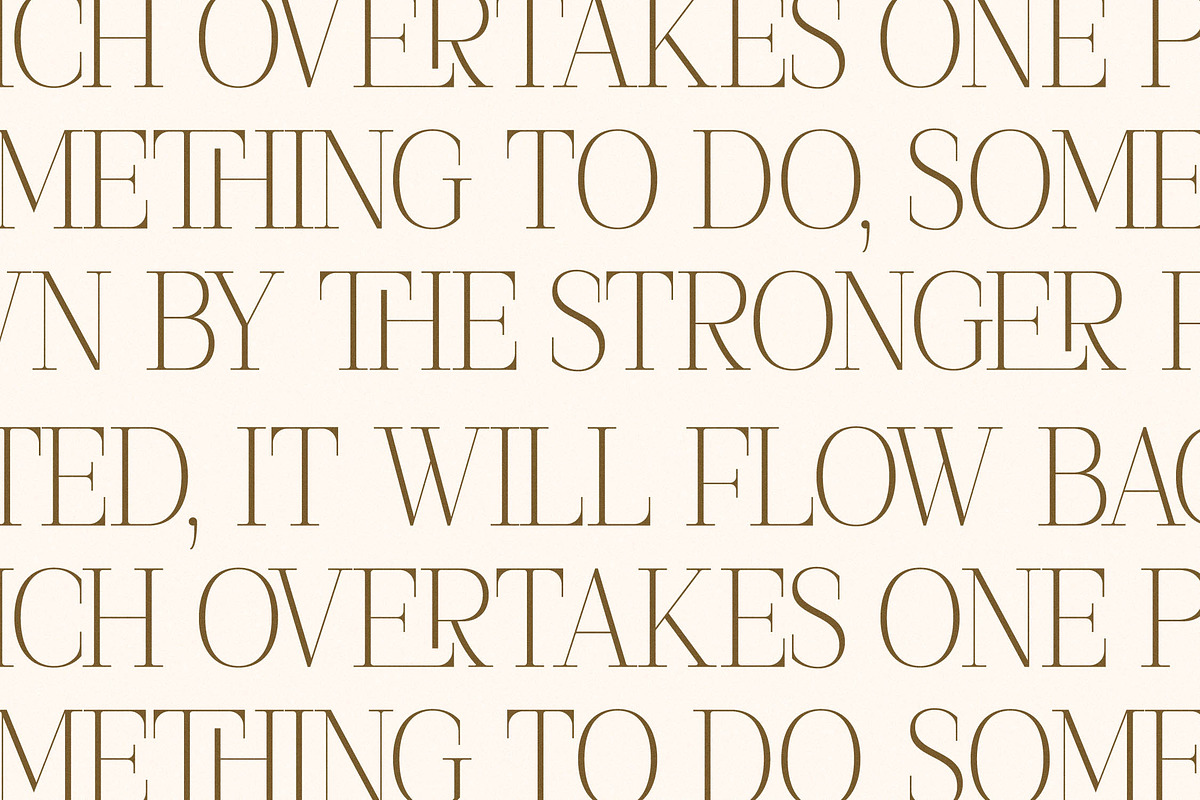 Seraphine Modern Font Serif, a Serif Font by Letterena Studios