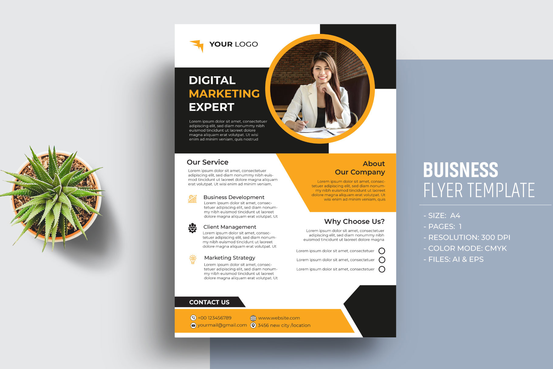 Digital Business Flyer Design