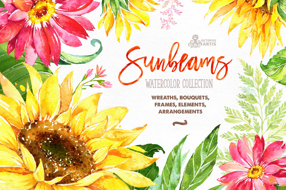 Sunbeams. Floral Collection, an Illustration by OctopusArtis