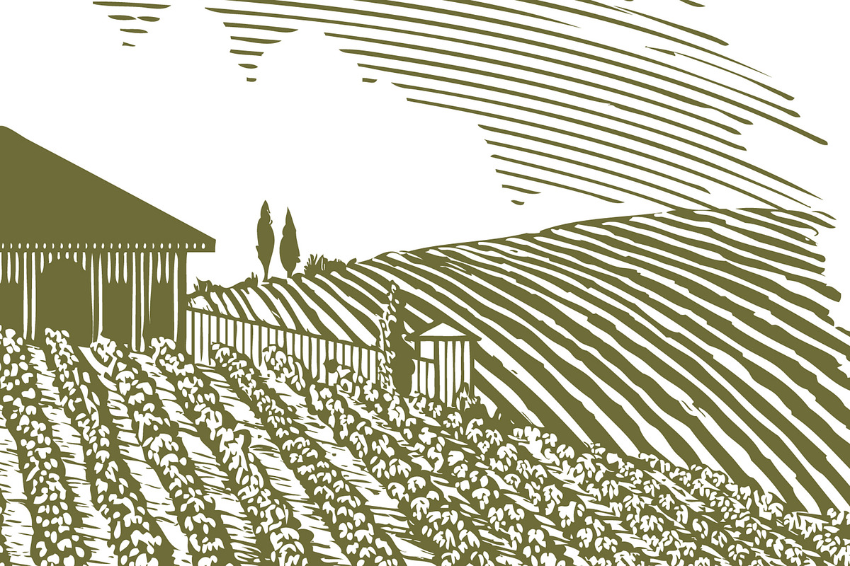 Woodcut Vineyard Landscape, a Graphic by blue67sign