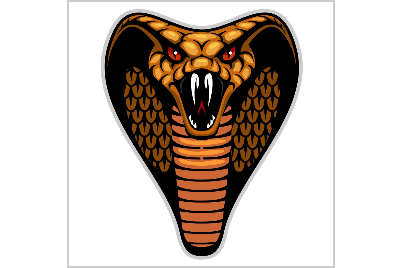 Snake head on white - vector illustration, an Animal Illustration by ...