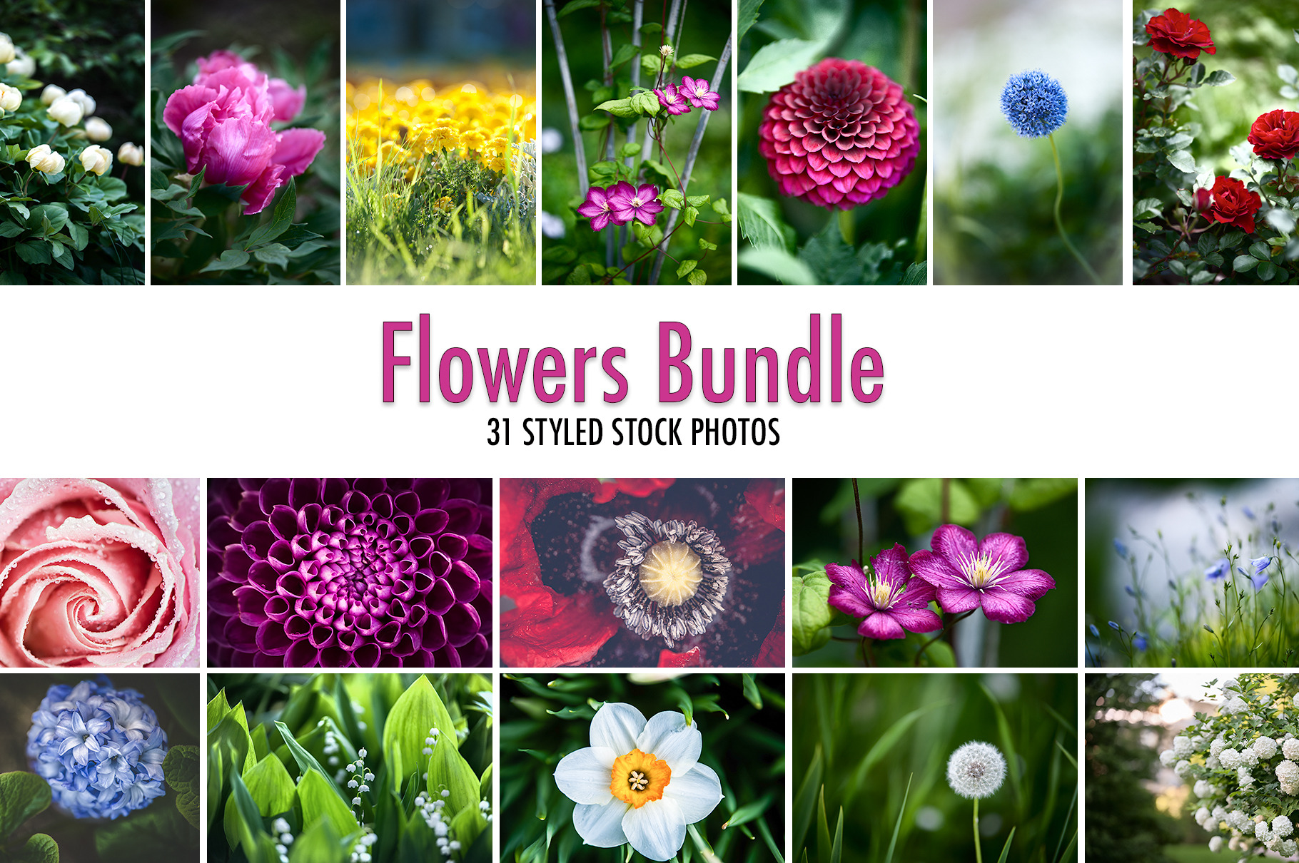 Flowers Bundle 31JPG, a Nature Photo by WildStrawberry Magic