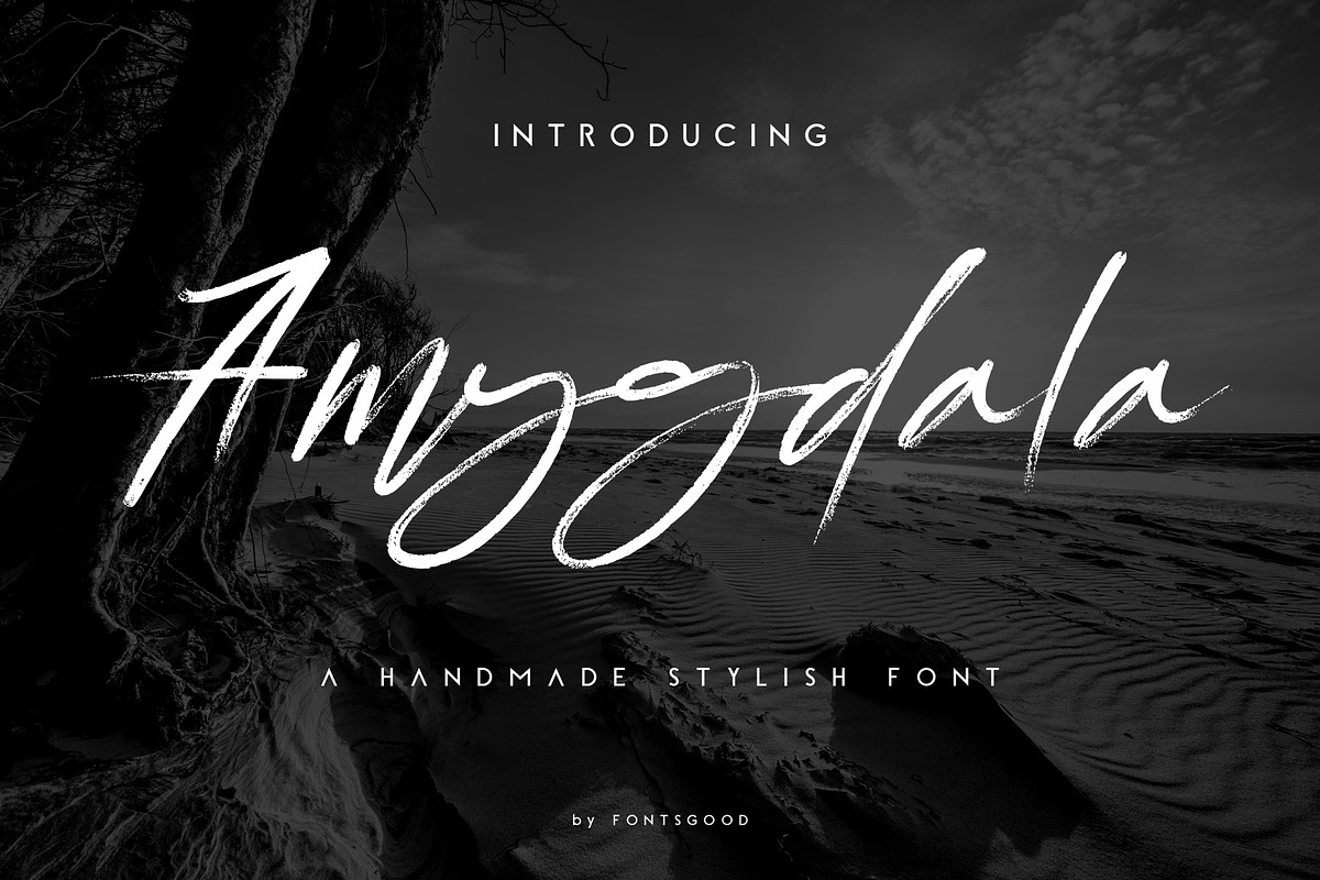 Amygdala, a Script Font by Fontsgood | Creative Market