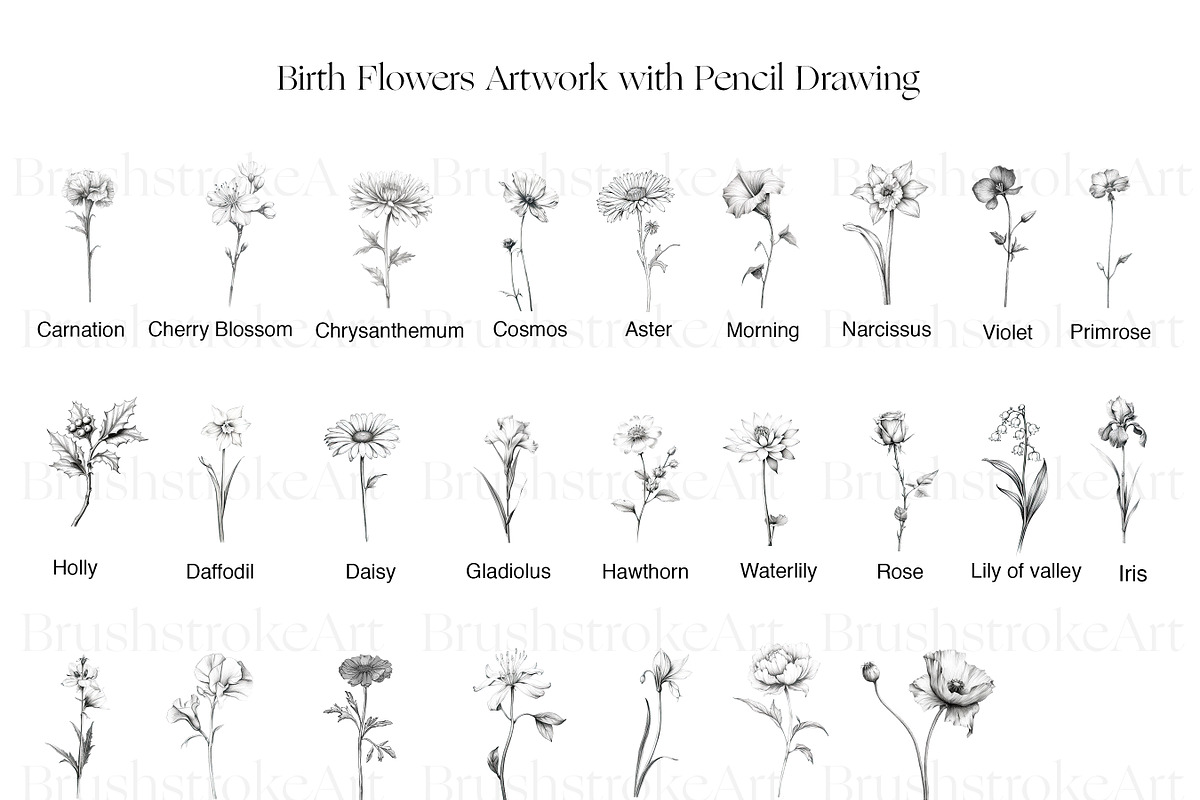 Birth Month Flowers Illustration