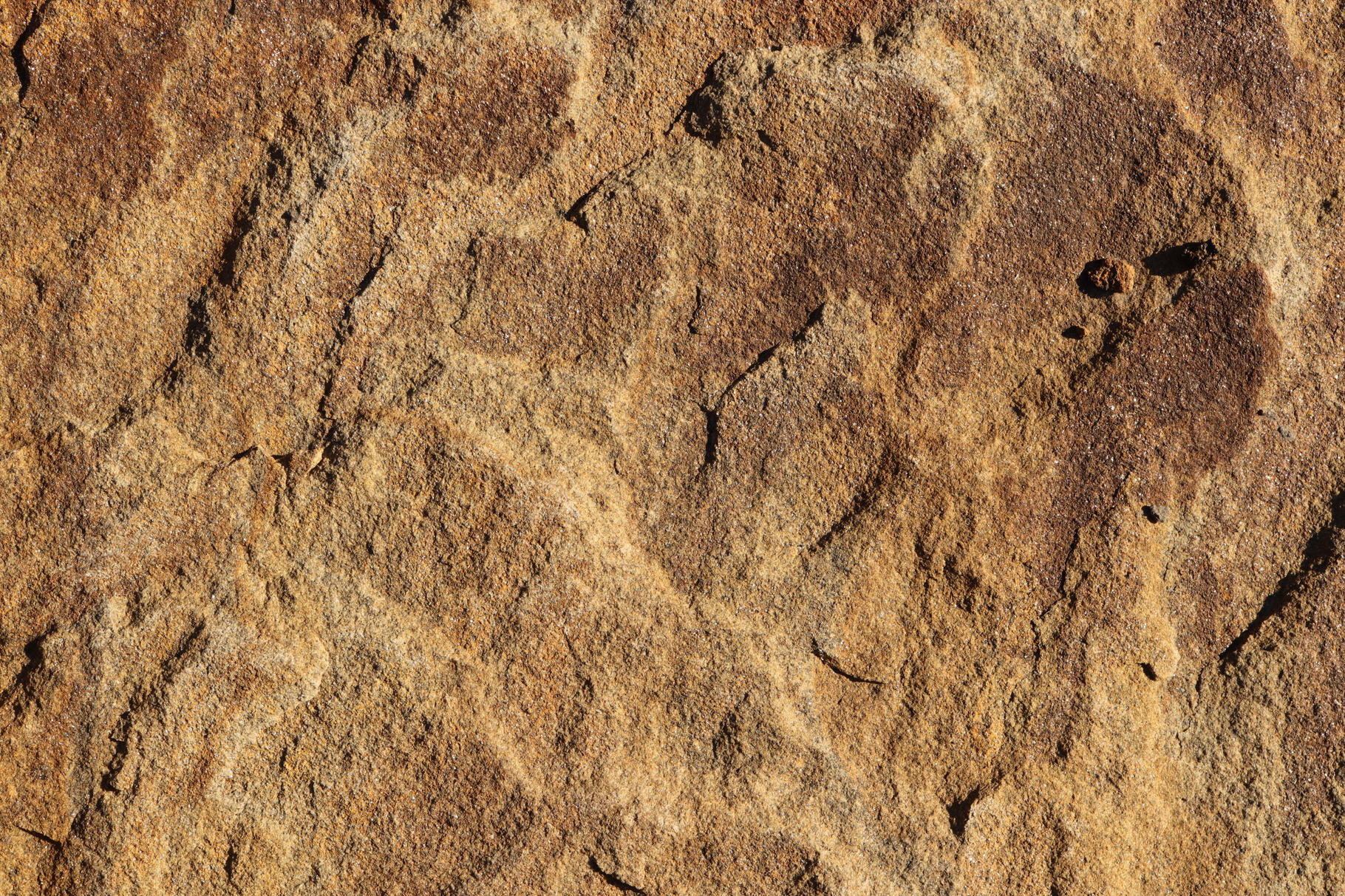 Brown detailed rock background texture. | Nature Stock Photos ...