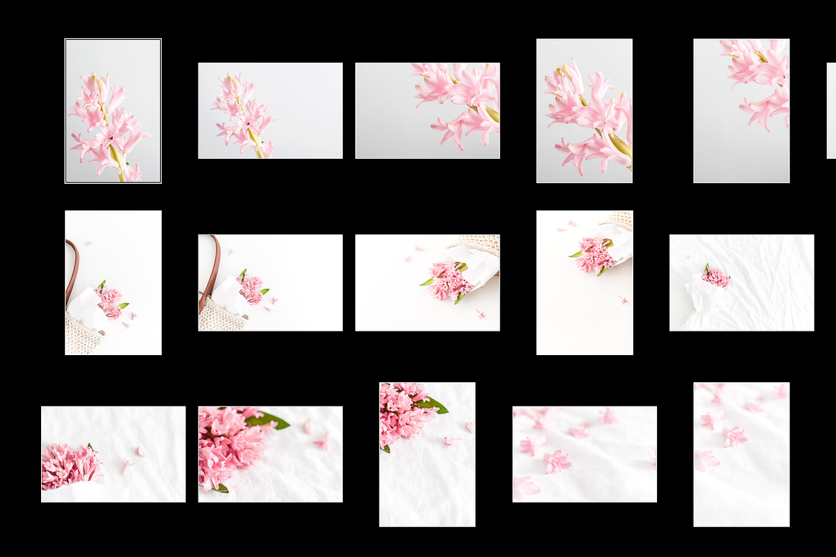 Pink Spring Blossom Stock Photo Bund, a Product Mockup by Styled Stock ...