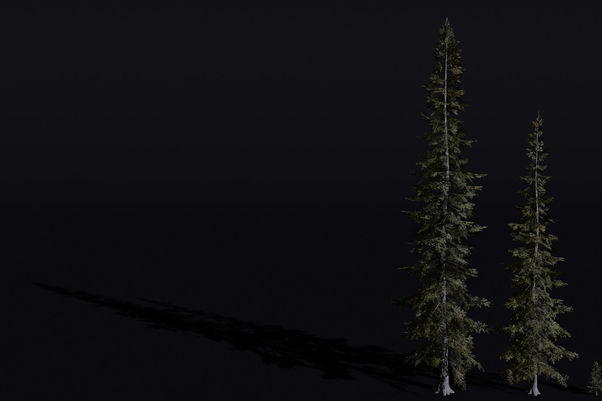 The Sabalpine Fir Tree, a Plants & Tree 3D Model by FuturePastCreatives