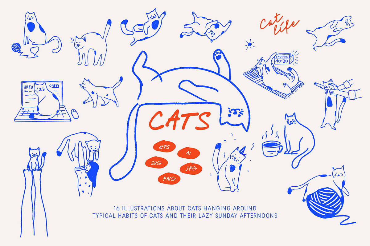 Cat vector illustrations, an Animal Illustration by dicreate