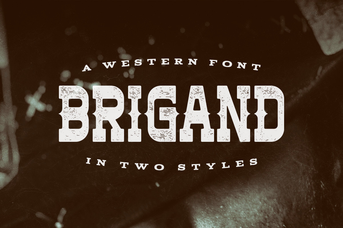 Brigand Typeface, a Slab Serif Font by Tugcu Design Co.