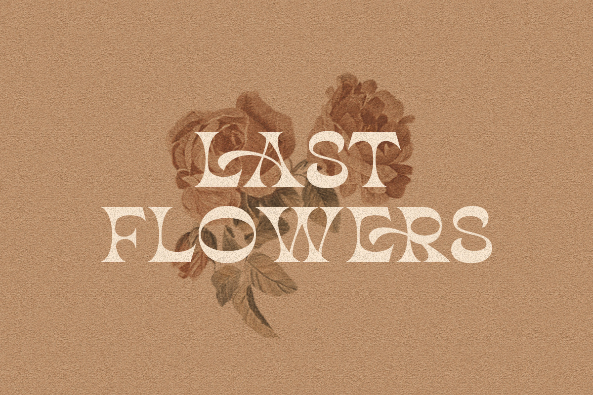 Quick Remarks - Reverse Serif, a Serif Font by Sarid Ezra