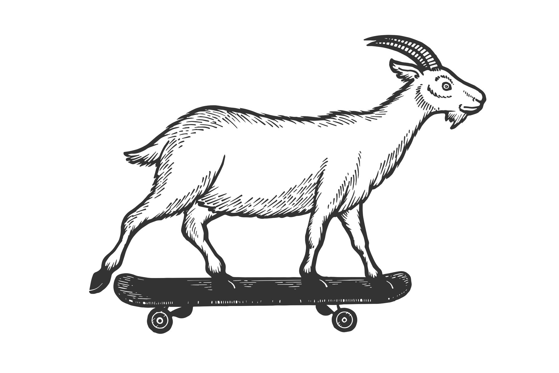 Goat on skateboard sketch engraving | Animal Illustrations ~ Creative ...