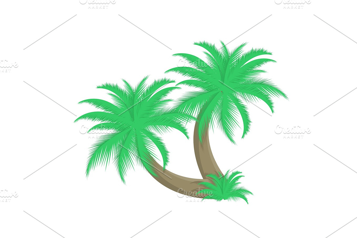 Two palm trees vector illustration, an Object Graphic by Woters little ...
