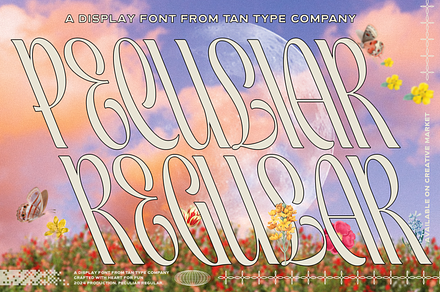 TAN - St. Canard | Sans Serif fonts ~ Creative Market