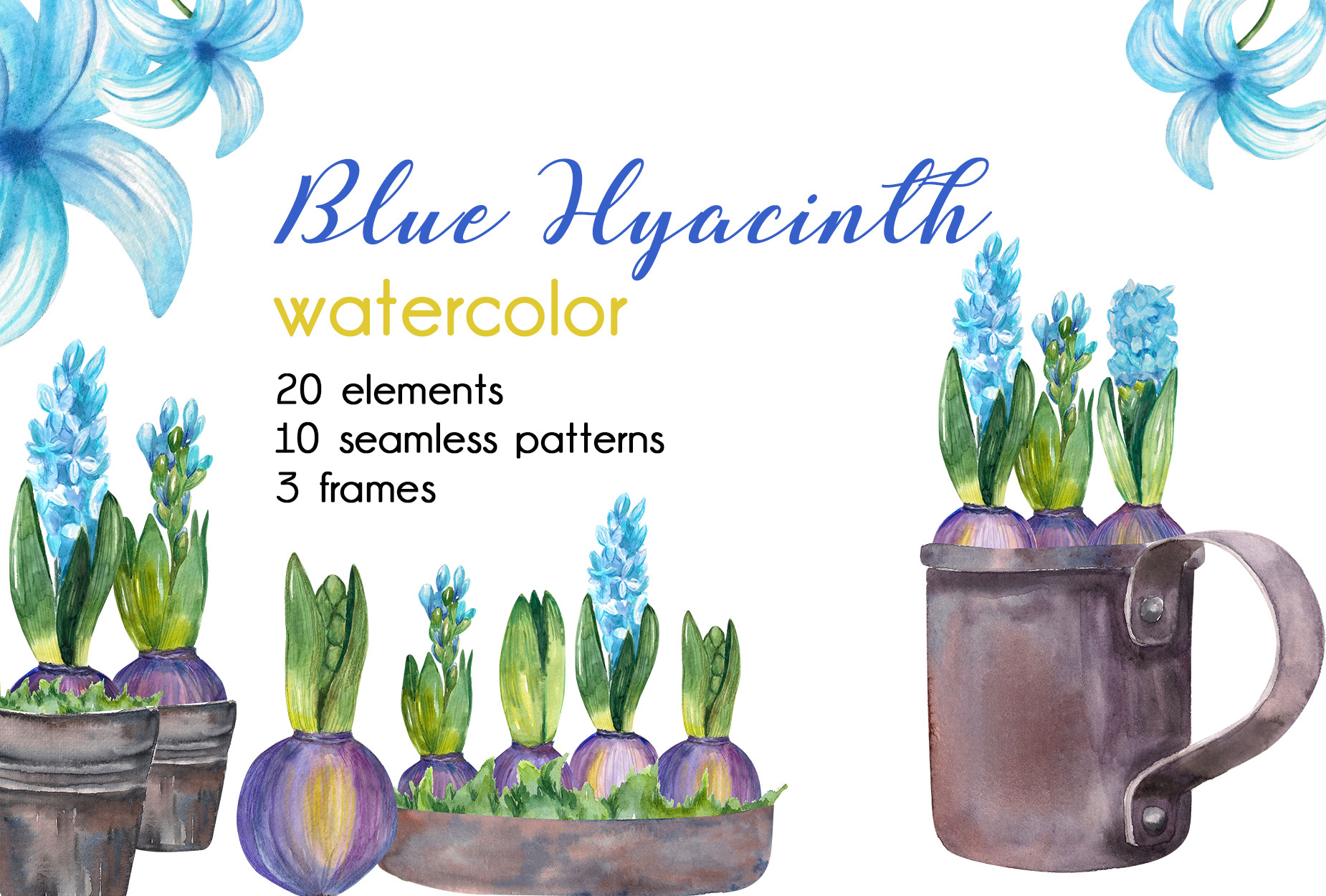 Watercolor Blue hyacinth