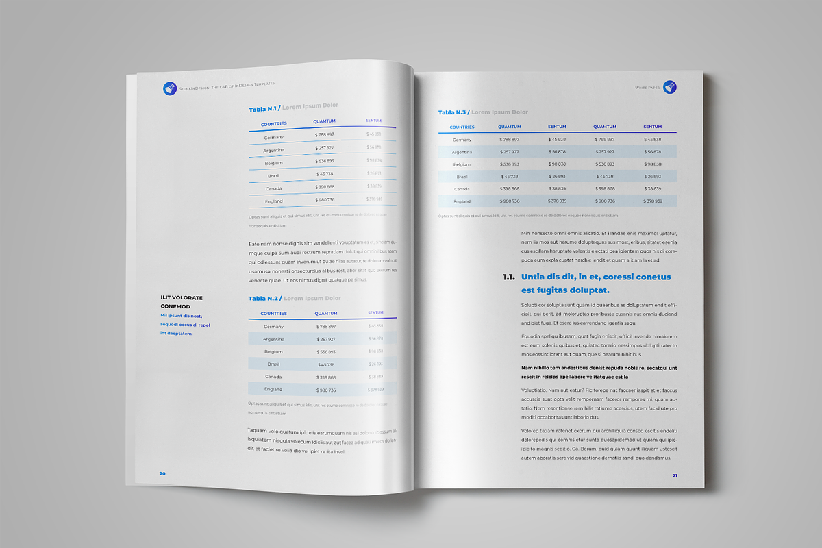 White Paper Template, a Brochure Template by StockInDesign