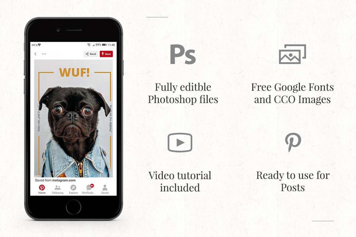 Pinterest Dropshipping Graphics, a Social Media Template by Web Donut