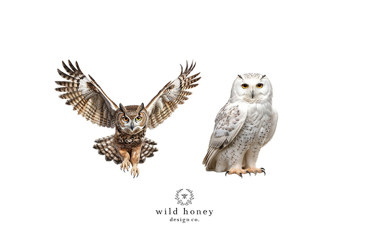 Owl Overlays, 10 PNGs, a Layer Style Add-On by Wild Honey Design Co.