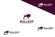 Bull Express Logo, a Branding & Logo Template by Maraz Logo