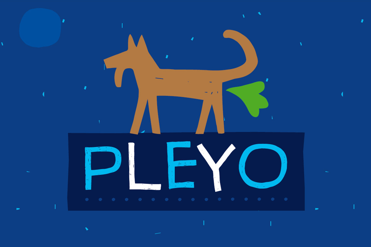 Pleyo Font Family, a Font by Tour de Force FF