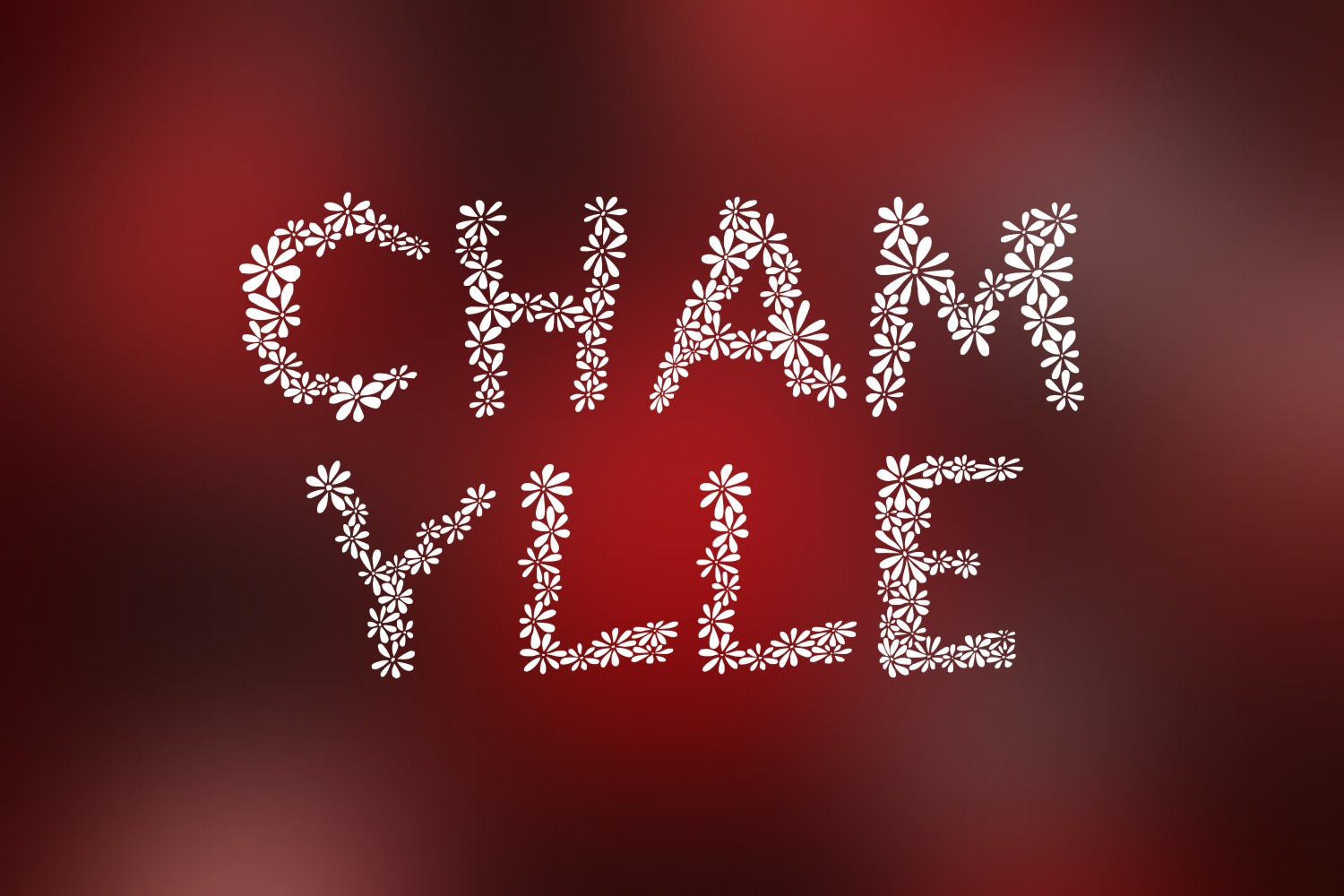 Chamylle Decorative Font, a Font by Digital Typeface Studio