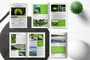 Green Newsletter Magazine Design