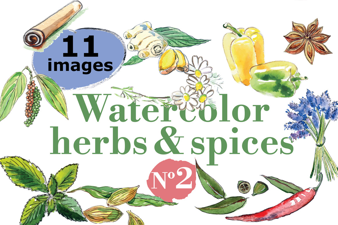Watercolor herbs & spices-2, a Food Illustration by miminoshka ...