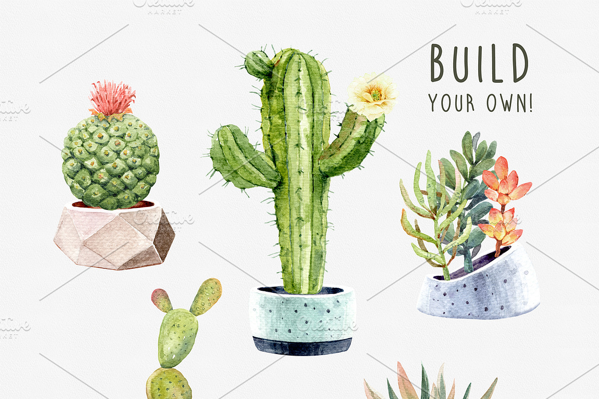 Watercolor Succulents, Cacti and Pot, a Decorative Illustration by Sap ...
