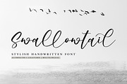 Swallowtail-Stylish Handwritten Font, a Symbol Font by AQR Studio