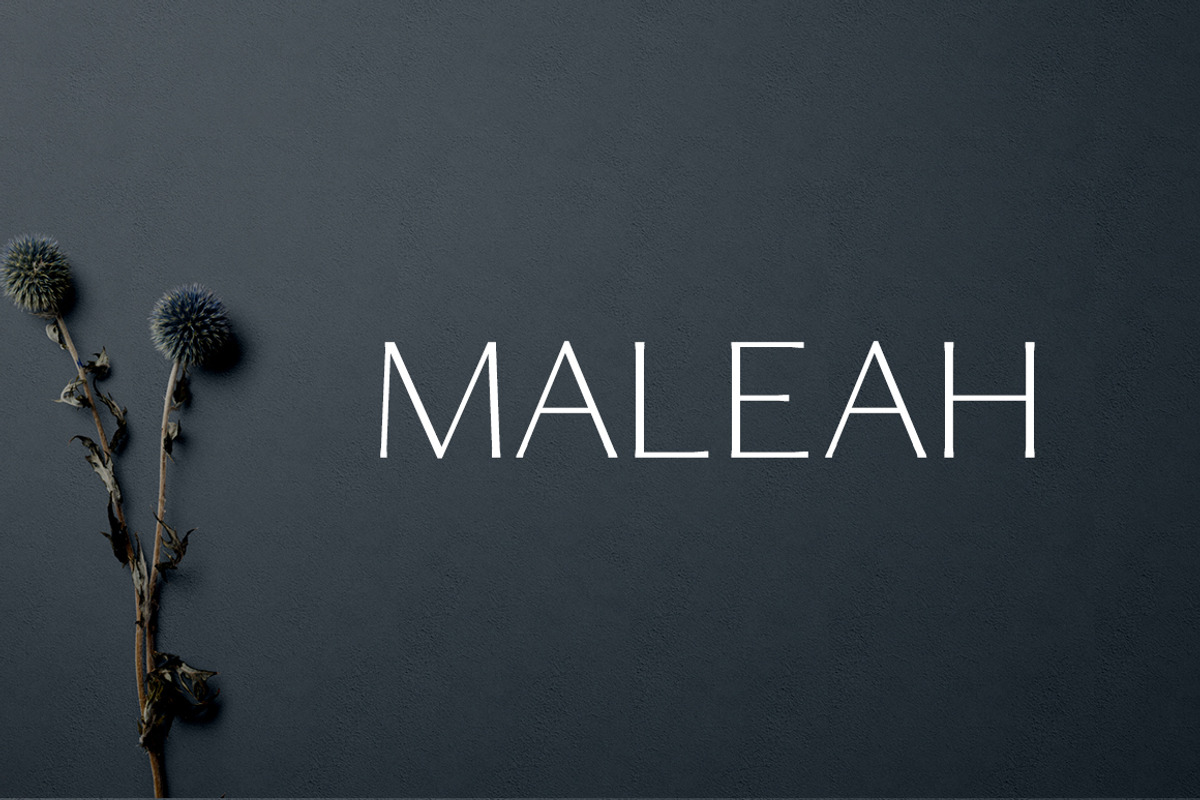 Maleah Sans Serif Fonts Family Pack
