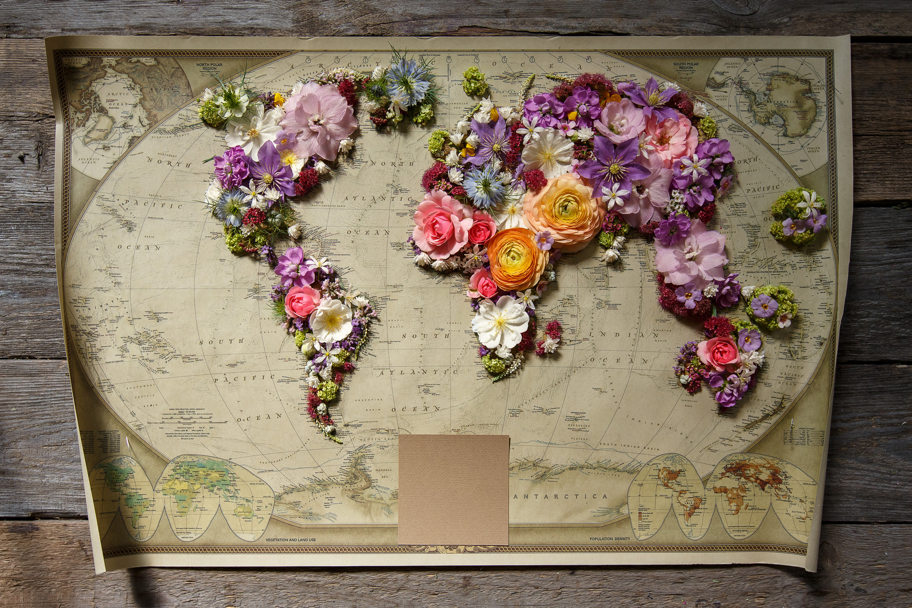 map with flowers, an Abstract Photo by sutulastock