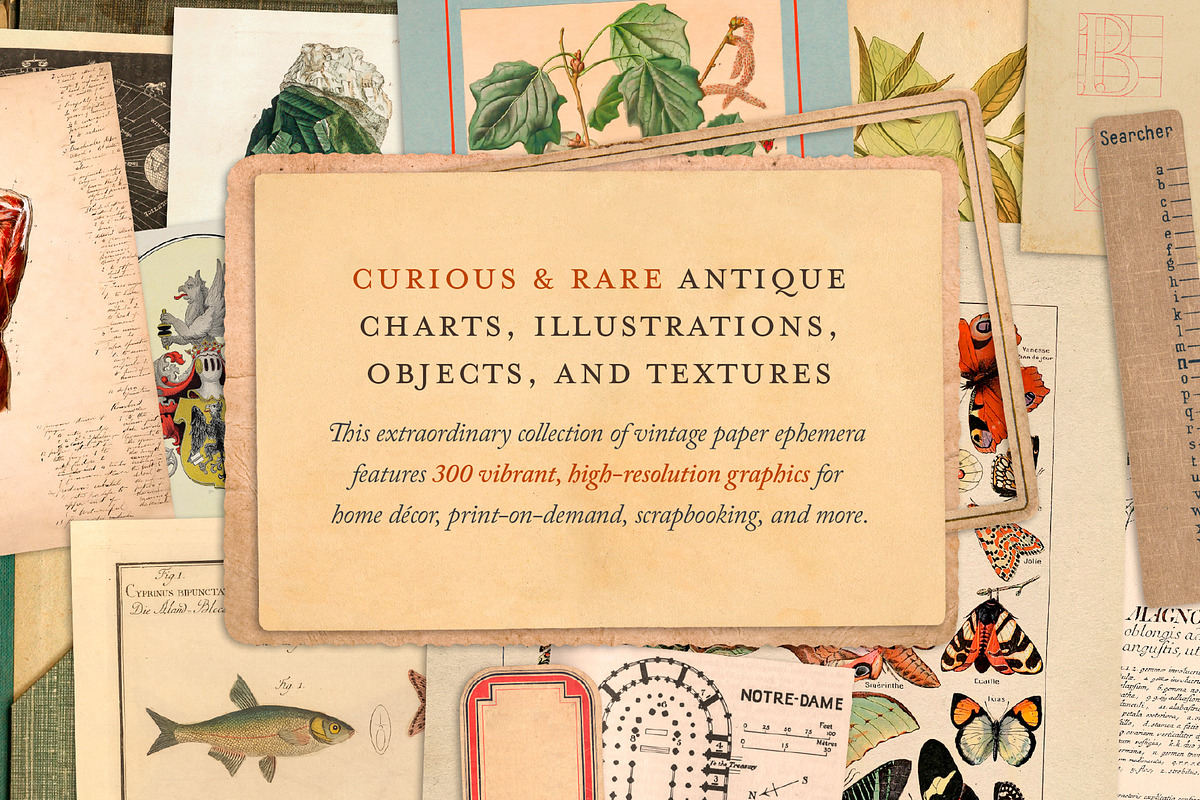 Dark Academia: 300 Vintage Ephemera, an Object Graphic by The Object Atlas