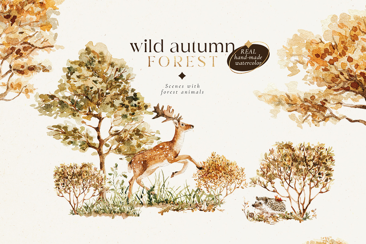 Wild autumn forest - watercolor fall, an Animal Illustration by ...