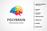 Polybrain Logo, a Branding & Logo Template by Design_Planet