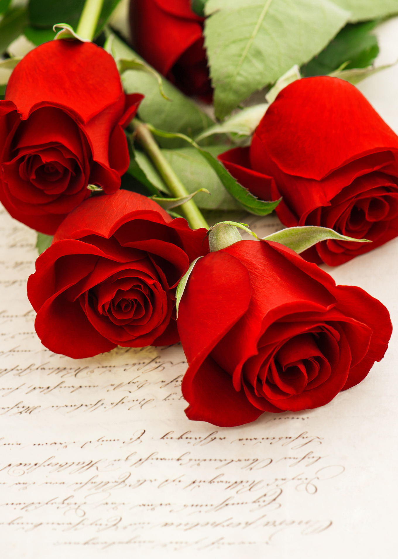 Red roses and old love letters, a Holiday Photo by LiliGraphie