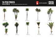10 PSD Trees Collection 3, an Object Graphic by envirographic