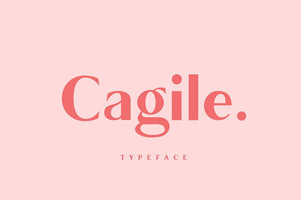 Garlic / elegant font, a Sans Serif Font by Java pep