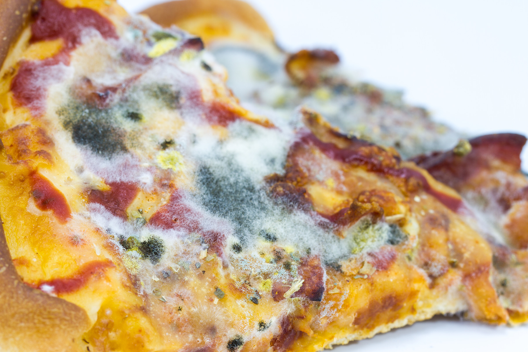 Moldy pizza containing bread, mold, and food, a Food & Drink Photo by ...