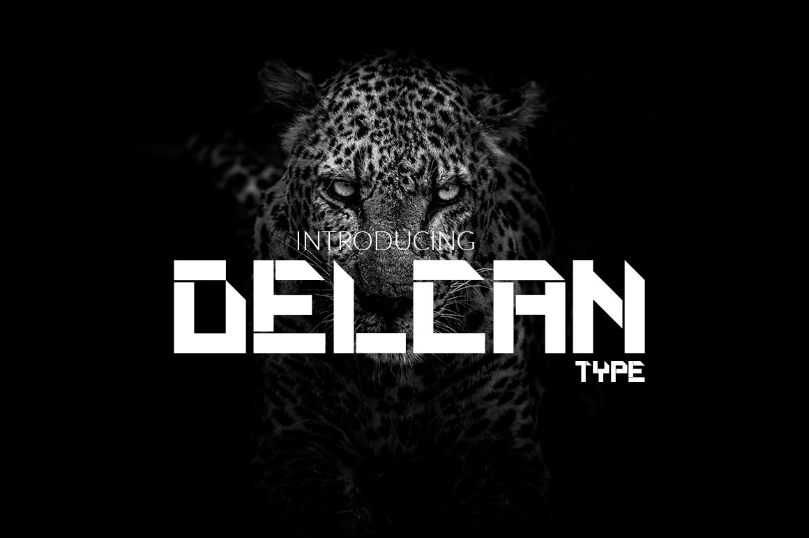 Delcan, a Sans Serif Font by Khal