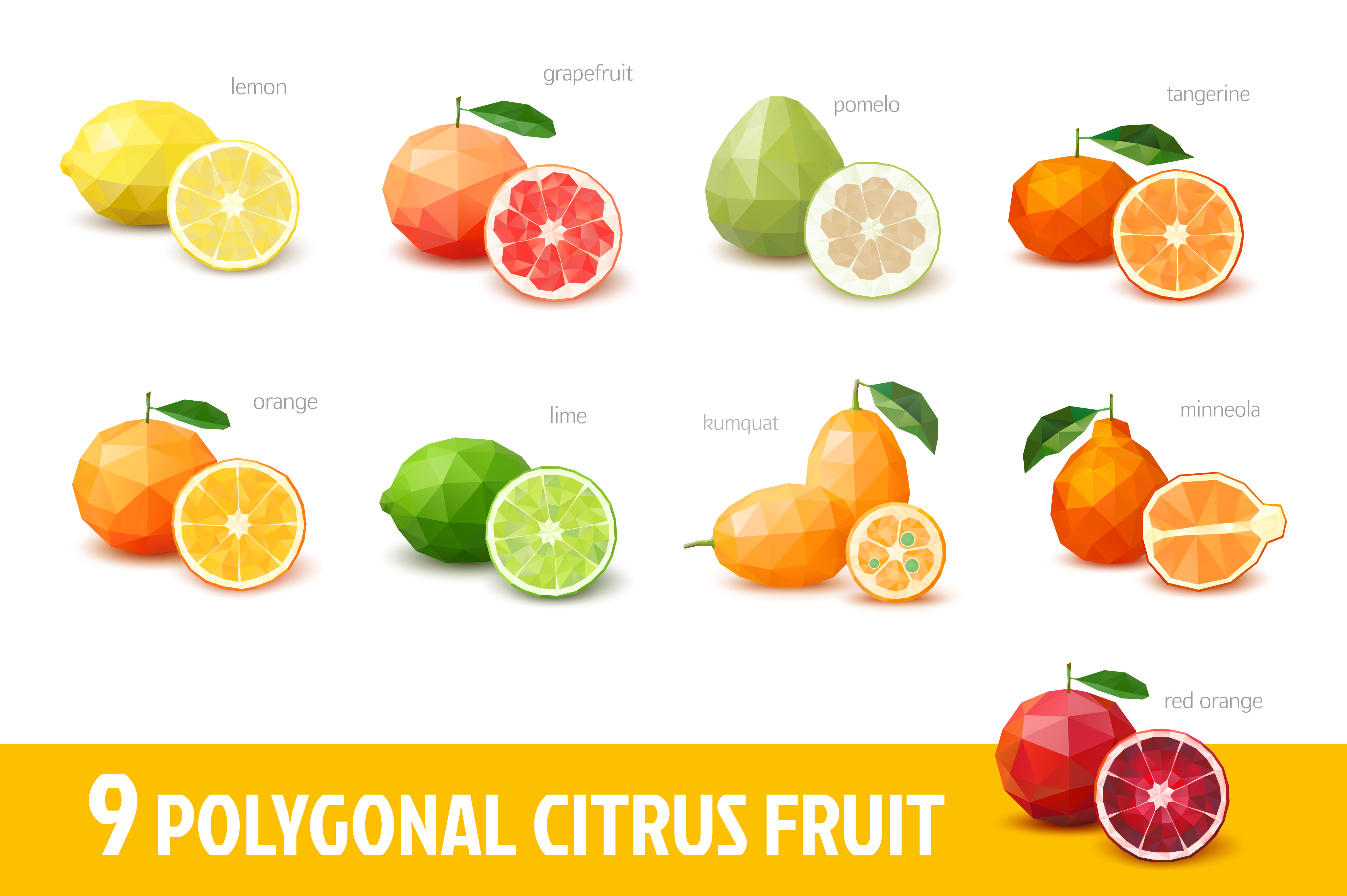 Polygonal citrus fruit, a Graphic by samarka