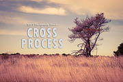 Cross Process - Lightroom presets, a Plug-in Add-On by HELEN : OAKES