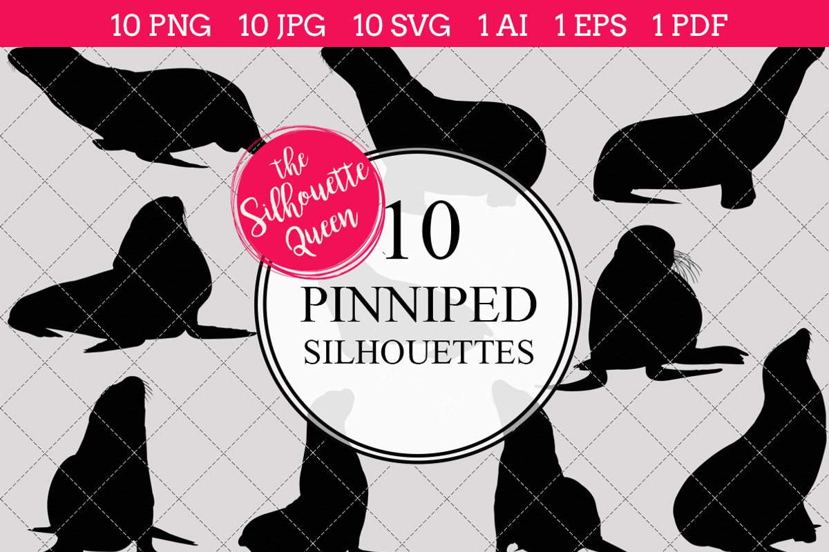 Pinniped Silhouette Vector Graphics, an Object Graphic by The ...