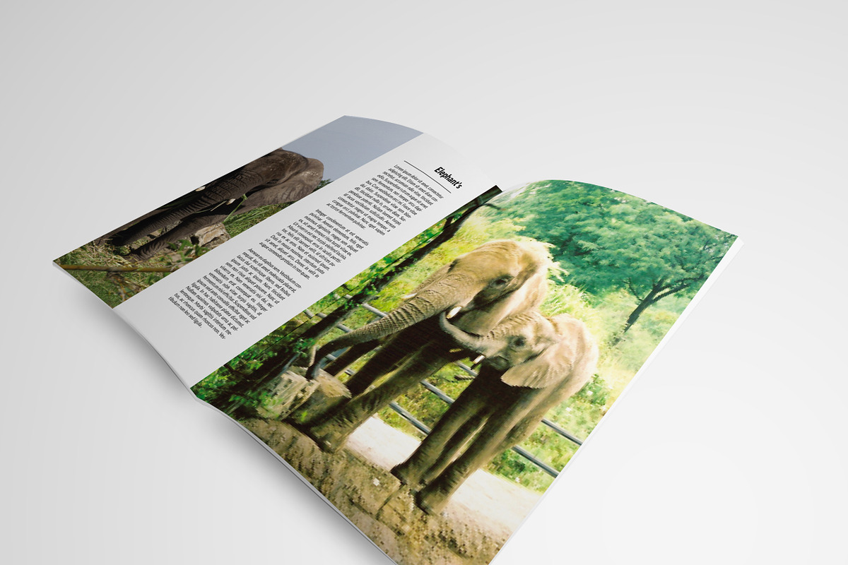 Wildlife Photography Brochure-V541, a Brochure Template by Template Shop