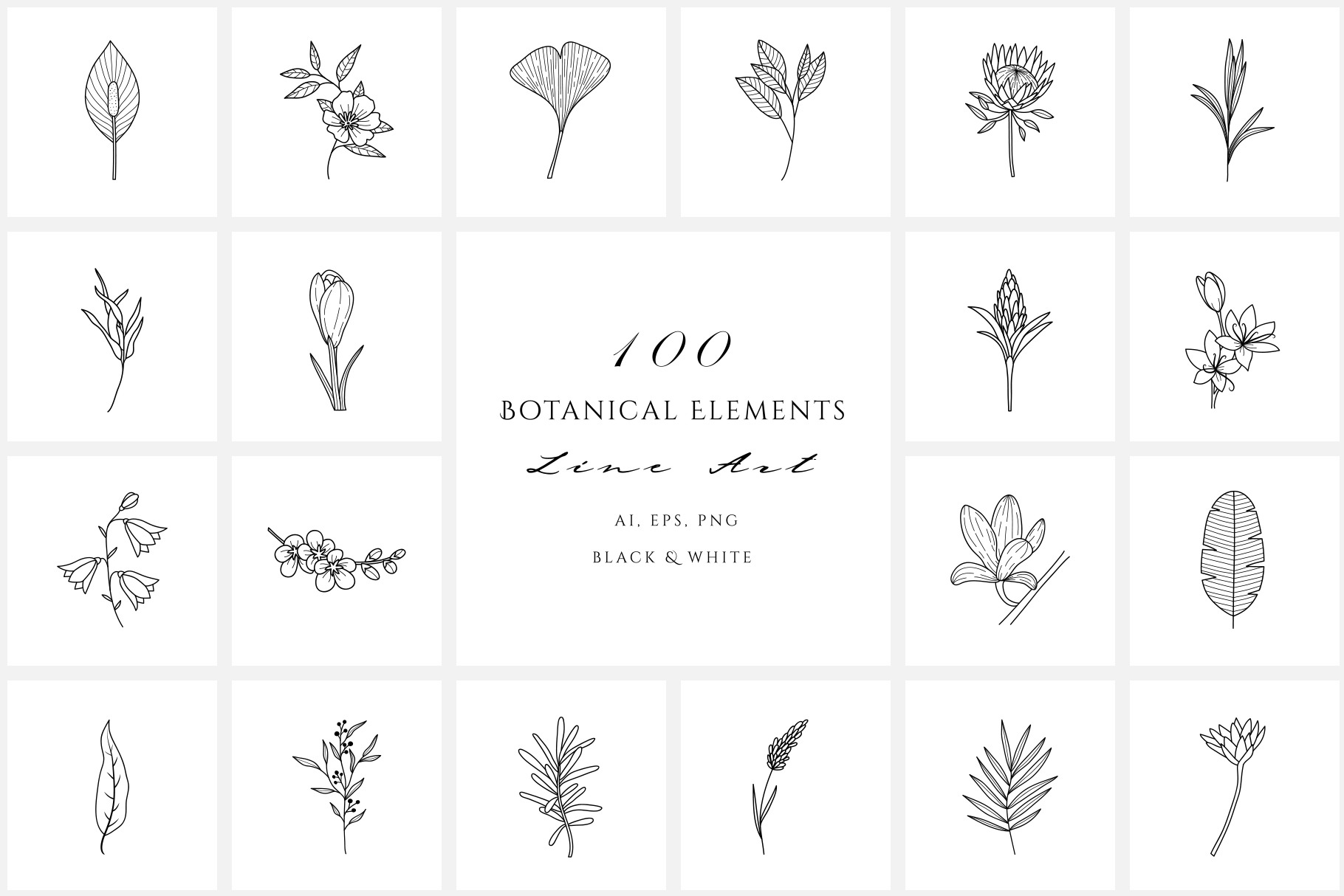 Flowers & Plants, Line Illustrations, a Decorative Illustration by ...