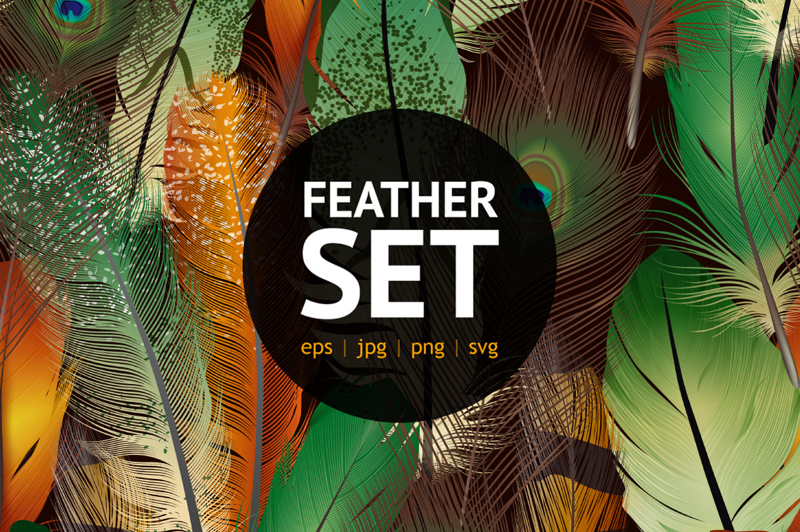 Colorful Feather Vector Set, a Decorative Illustration by Macrovector