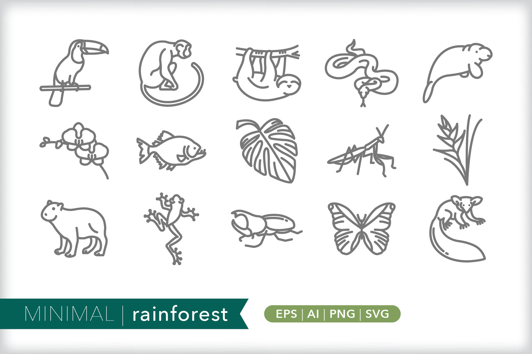 Minimal rainforest icons, an Outline Icon by Picture Window