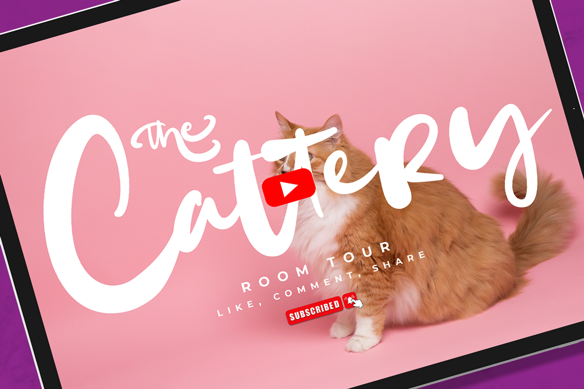 The Bajaka | A Quirky Playful Font