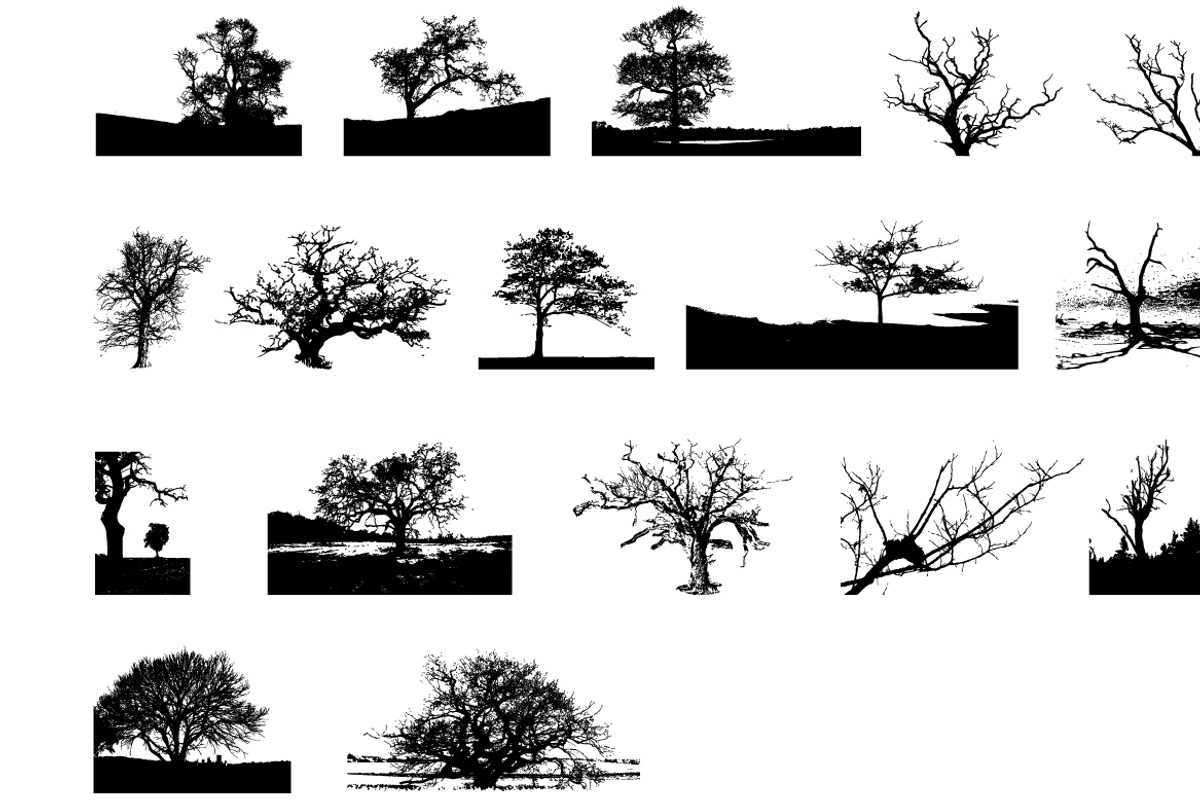 Trees Vector Pack, an Illustration by Go Media's Arsenal